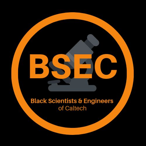 Bsec Logo